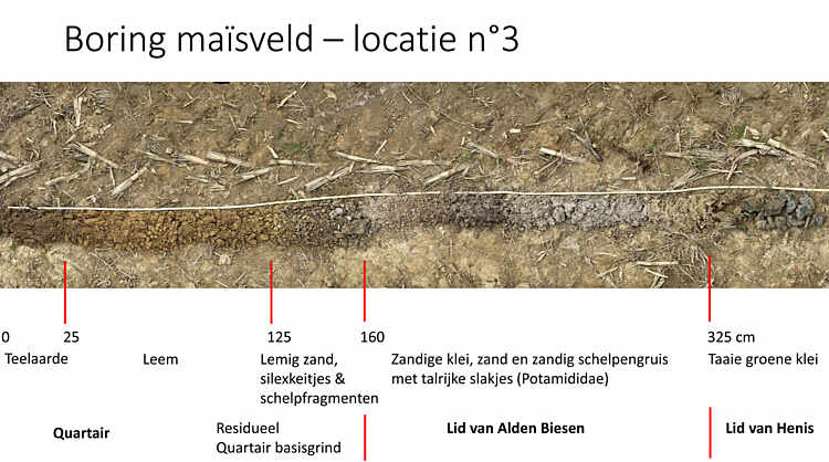 Borgloon aan zee | Provinciaal Natuurcentrum Limburg